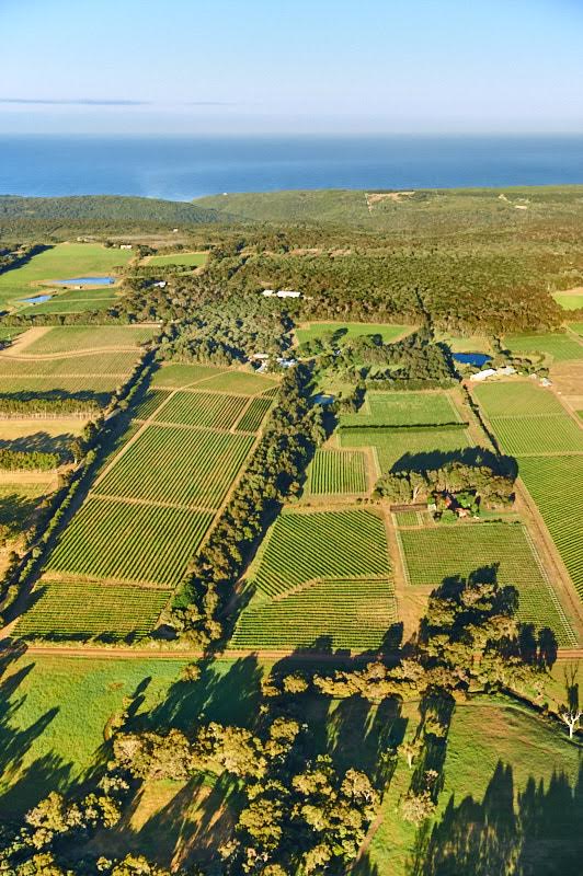 Summer Whites from Moss Wood – greatwineblog