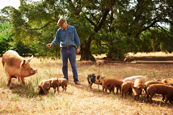 Award for Cape Mentelle founder David Hohnen – greatwineblog